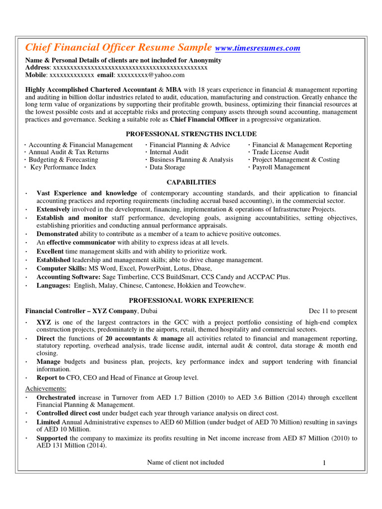 Chief Financial Officer Resume Sample | PDF | Accounting | Audit