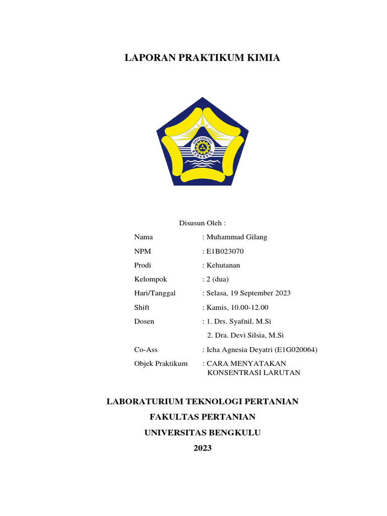 Laporan Praktikum Kimia Cara Menyatakan Konsentrasi Larutan | PDF