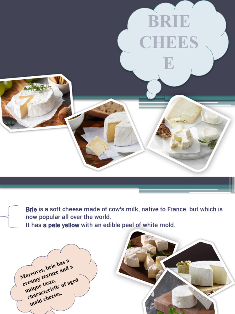 Brie Download Free Pdf Cheese Milk