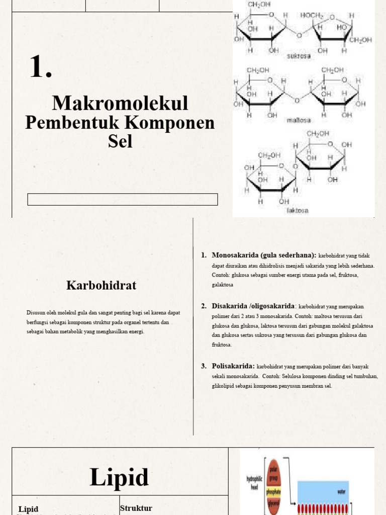 Makromolekul: Pembentuk Komponen Sel | PDF | Sains & Matematika ...