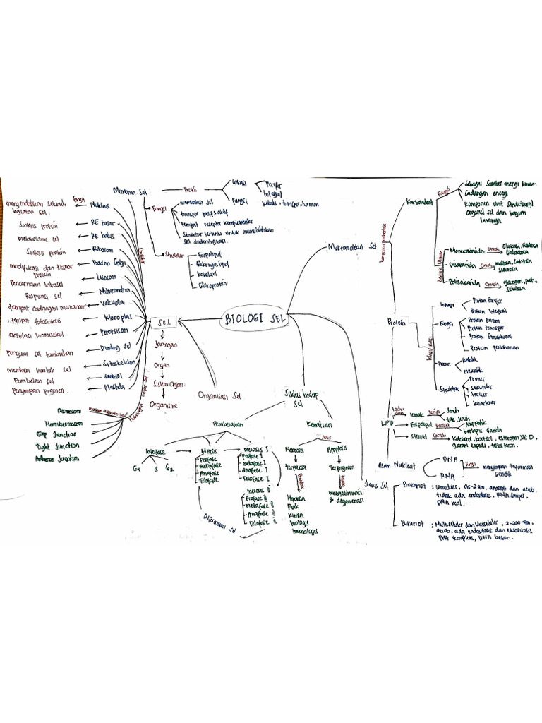 Mind Map | PDF