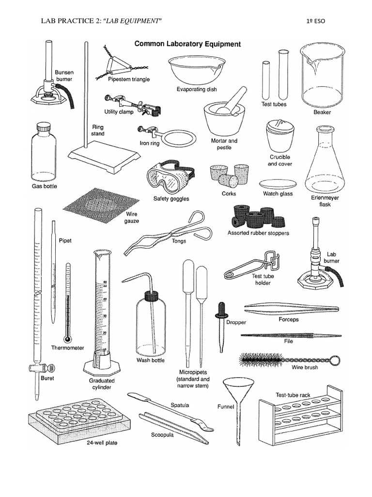 PRACTICE II. Science Lab Equipment | PDF | Home & Garden | Science ...