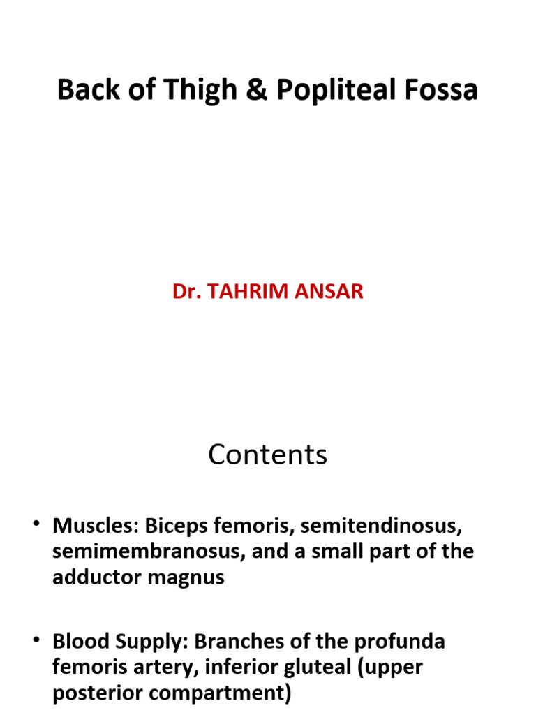 Back of Thigh & Popliteal Fossa 2017 | PDF | Human Leg | Knee