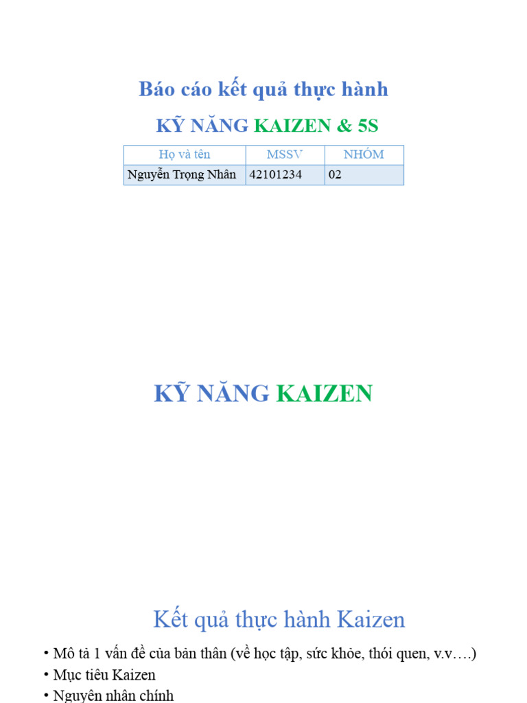 Báo cáo Kaizen 5S | PDF