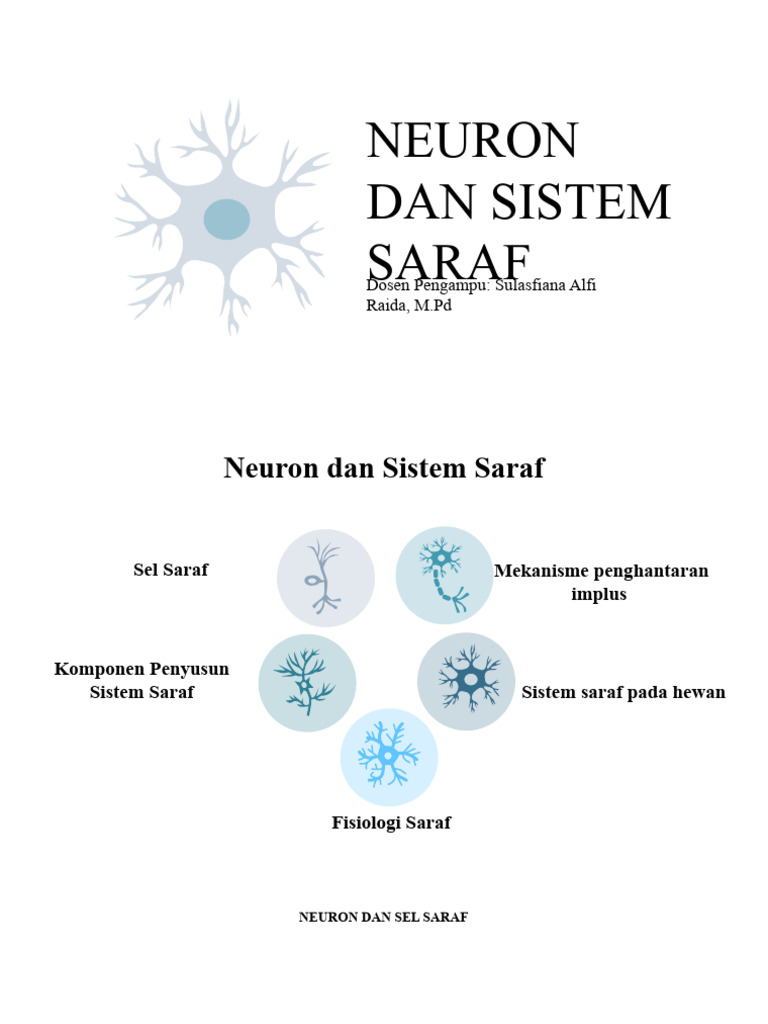 Neuron | PDF