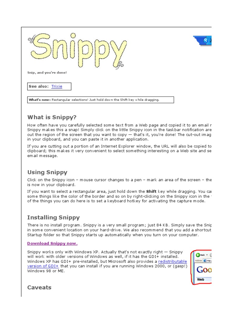 Snippy | Graphical User Interfaces | Software | Free 30-day Trial | Scribd