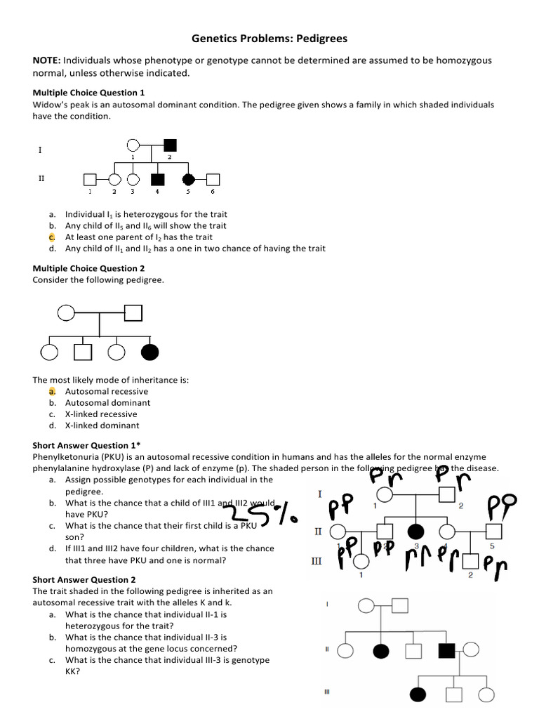 Pedigree Practice Problems #1 | PDF | Dominance (Genetics) | Genotype