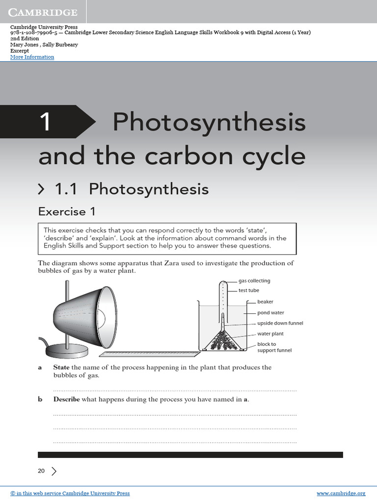 Photosynthesis and The Carbon Cycle | PDF