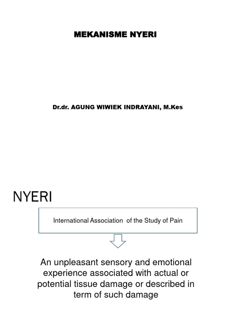 Mekanisme Nyeri | PDF