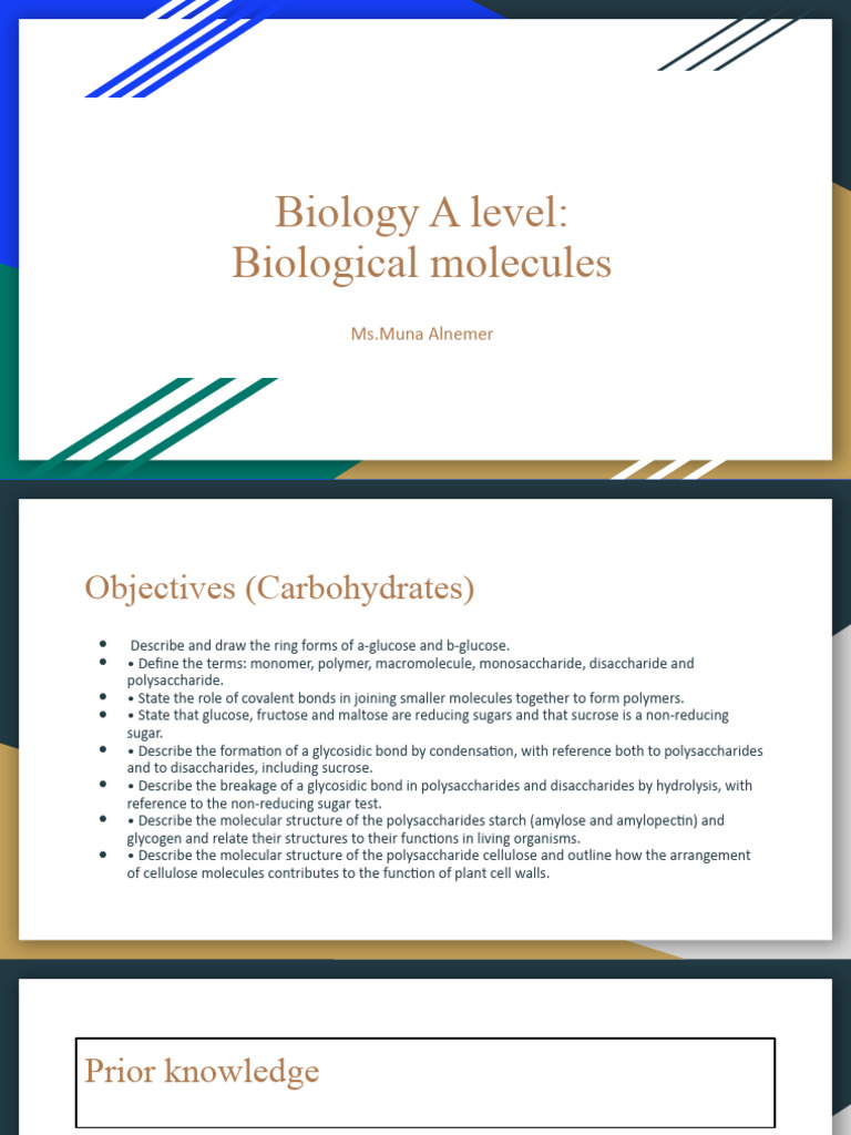 Biology A Level - Ch2 Biological Molecules | PDF