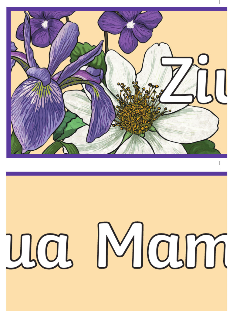 t2 e 2554 Ziua Mamei Banner | PDF