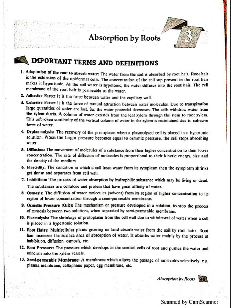 Bio CH 3,4,5,6 | PDF