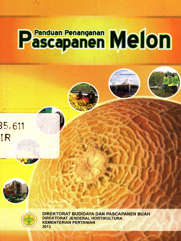 Panduan Penanganan Pascapanen Melon | PDF