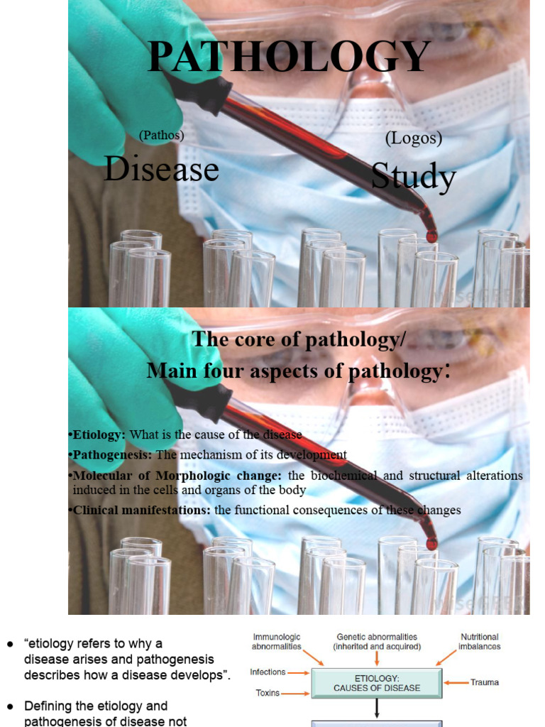 Introduction To Basic Pathology - 09.08.2023.ppt-1 | PDF | Epithelium ...