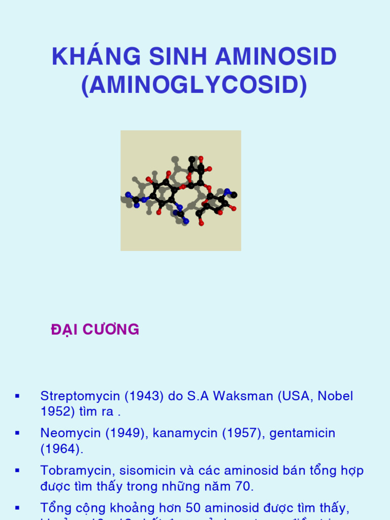 Bài 08 - Kháng sinh họ Aminosid | PDF