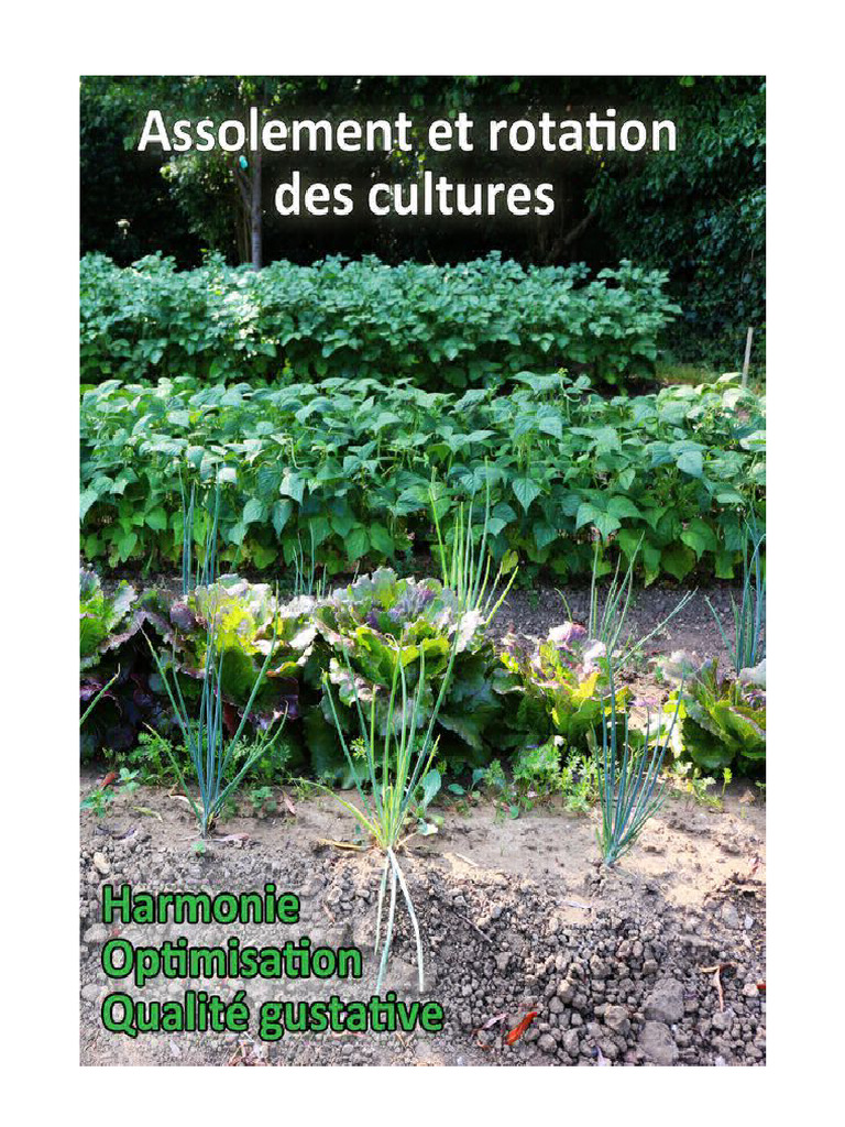 Tableau Rotation Et Assolements 150dpi | PDF | Légumes | Fertilisant