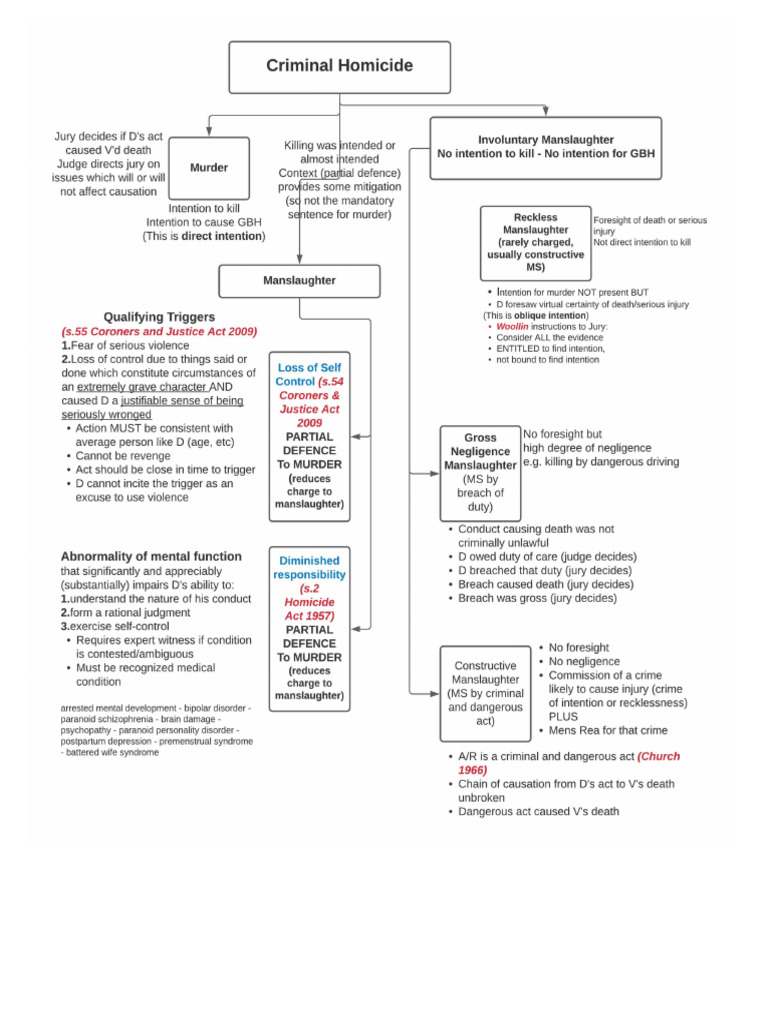 Flowchart Homicide StuDocU | PDF