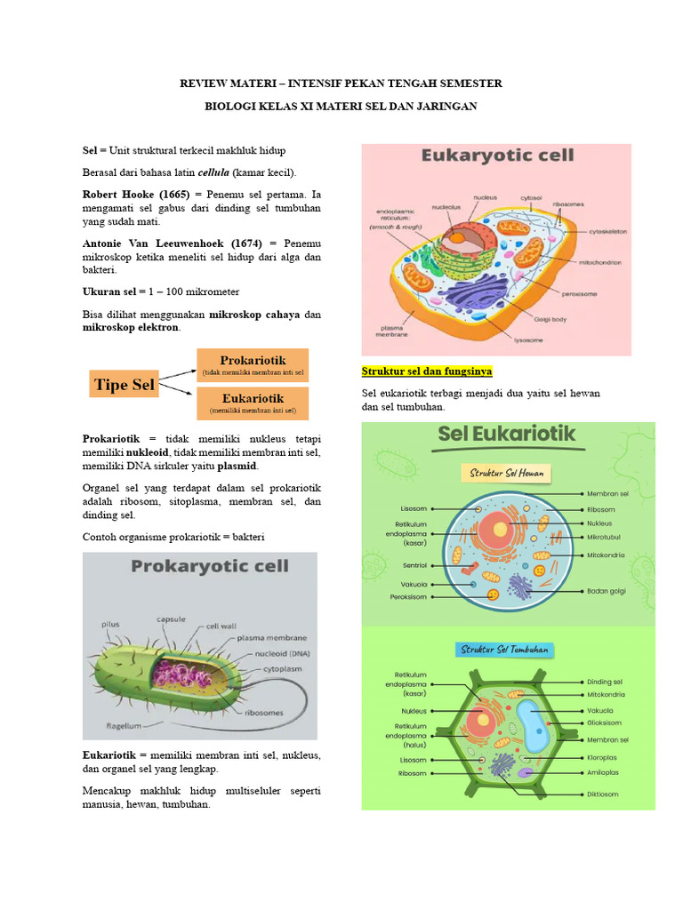 REVIEW MATERI SEL DAN JARINGAN TUMBUHAN | PDF