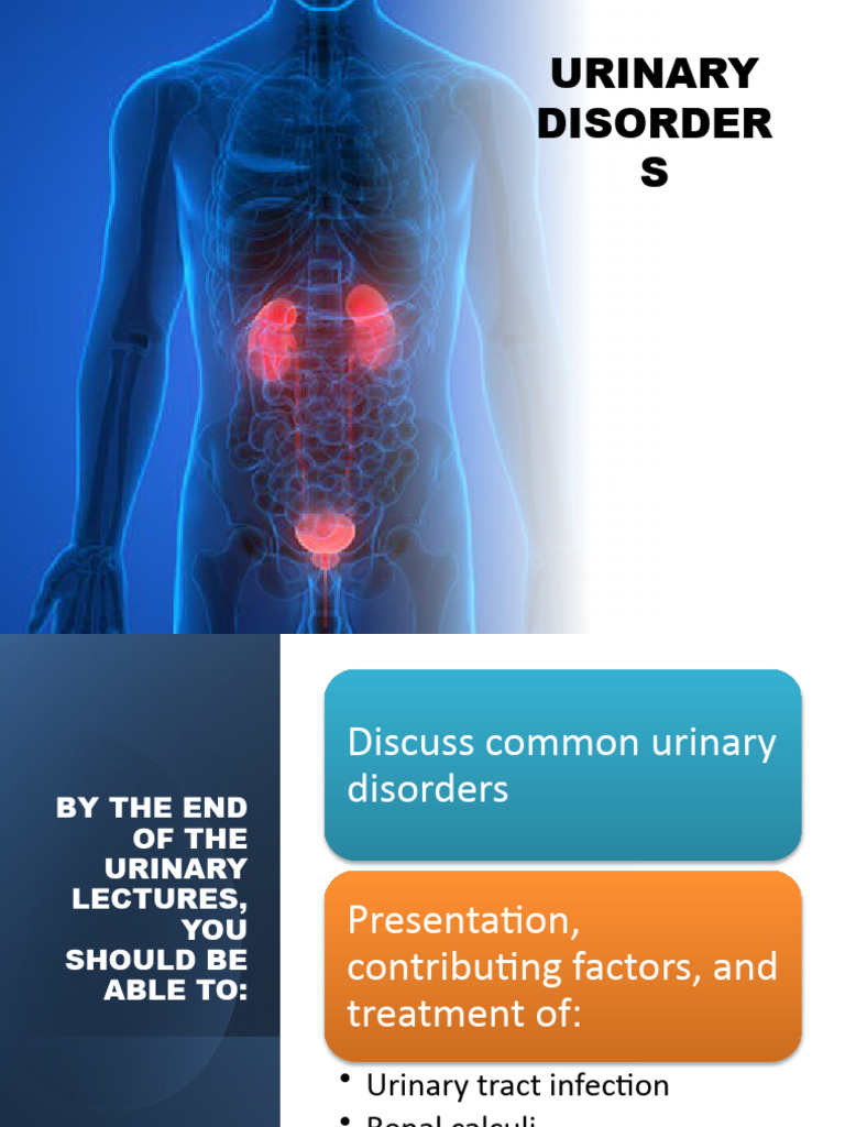 Urinary Disorders | PDF | Urinary System | Urinary Tract Infection