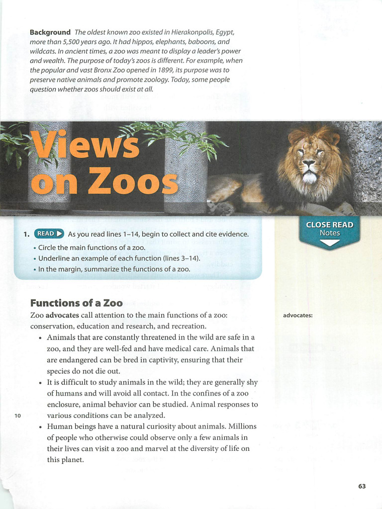 Views On Zoos | PDF