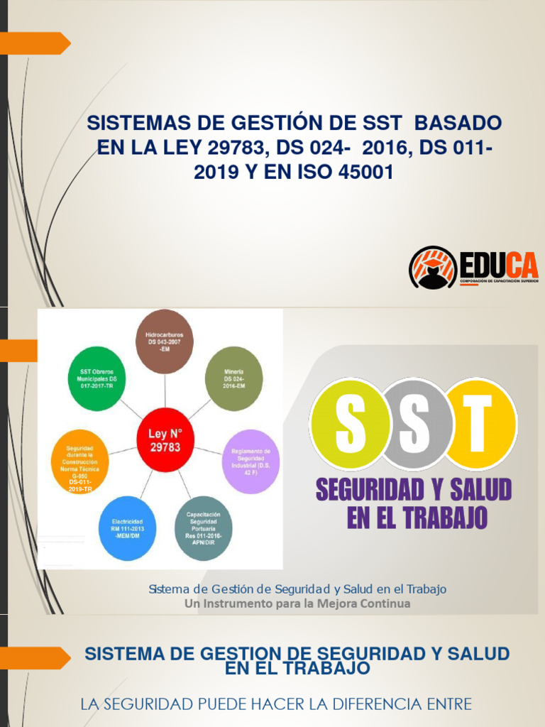 MODULO 6 SG SST Basado en La Ley 29783 y en ISO 45001 - 2018 | PDF | Seguridad y salud ...