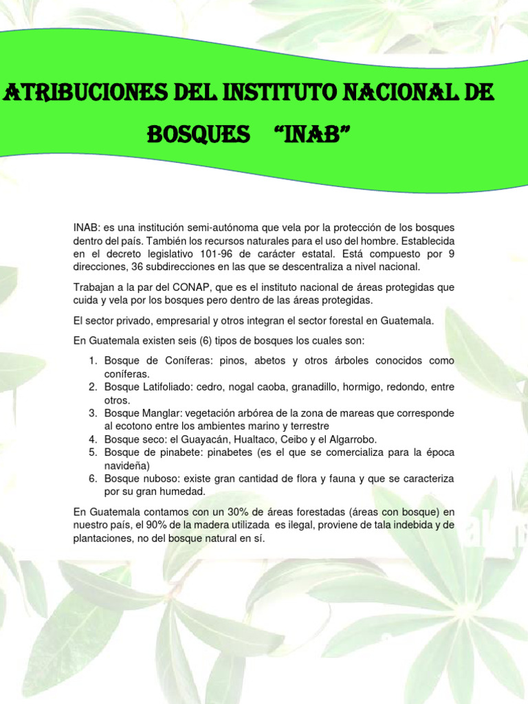 INAB | PDF
