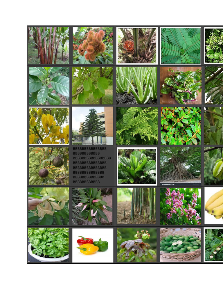 BBBBBBBBBBBBBBB BBBBBBBBBBBB BBBBBBBBBBBBBBBBB BBBBBBBBBBBBBBB ...