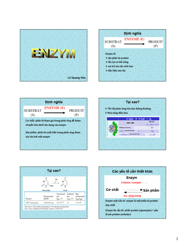 Enzyme - VN (Compatibility Mode) | PDF
