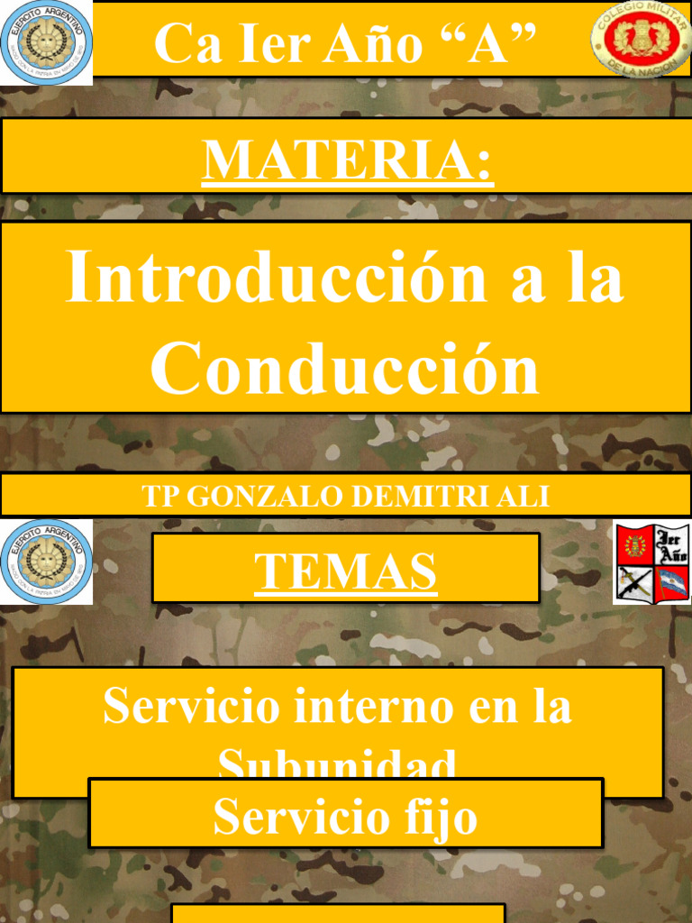 Servicio Interno en La Subunidad | PDF