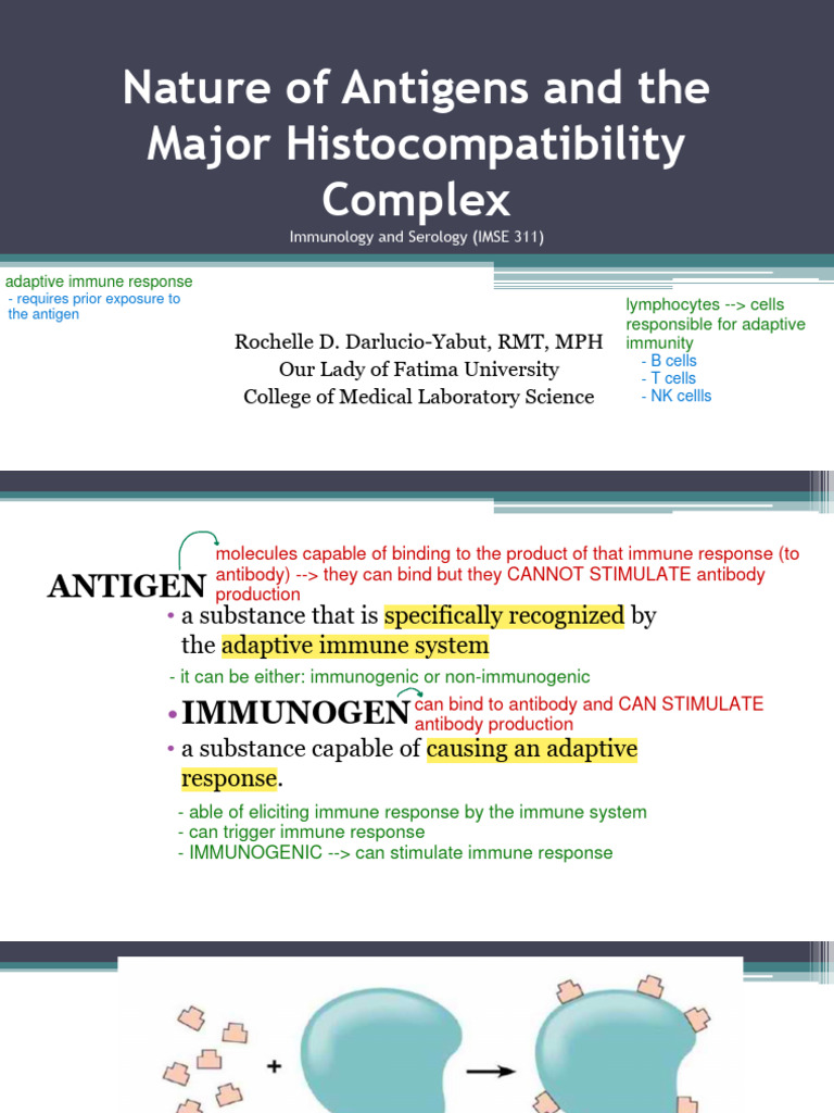 Antigens, MHC, and Cytokines | PDF | Antigen | Epitope