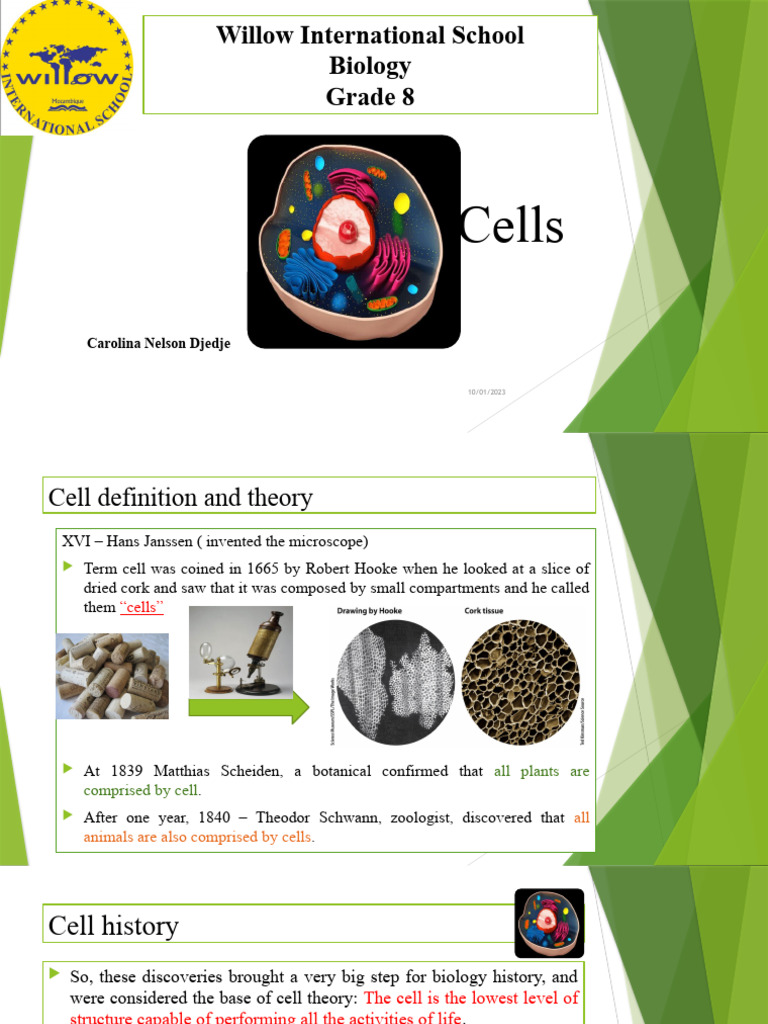 Lesson Introduction To Cells Pdf Cell Biology Eukaryotes
