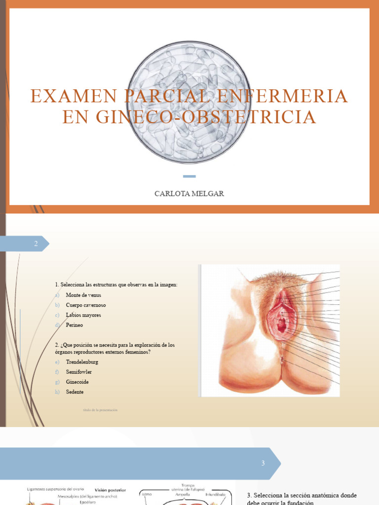 Examen Parcial de Gineco-Obstetricia | PDF