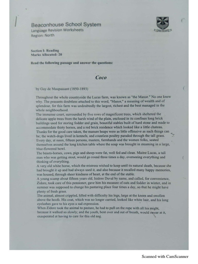 Grade 6 English Past Papers PDF | PDF