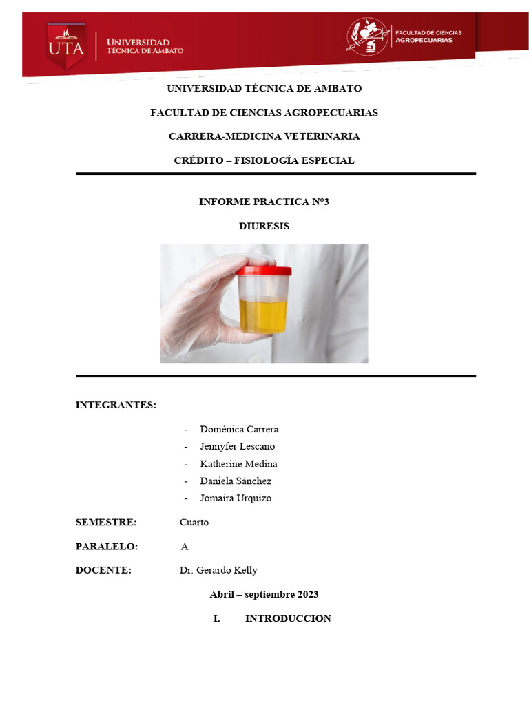 Informe Diuresis | PDF