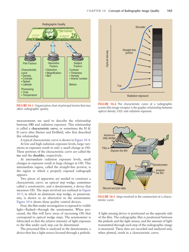 Bushong 10th (Dragged) 4 | PDF
