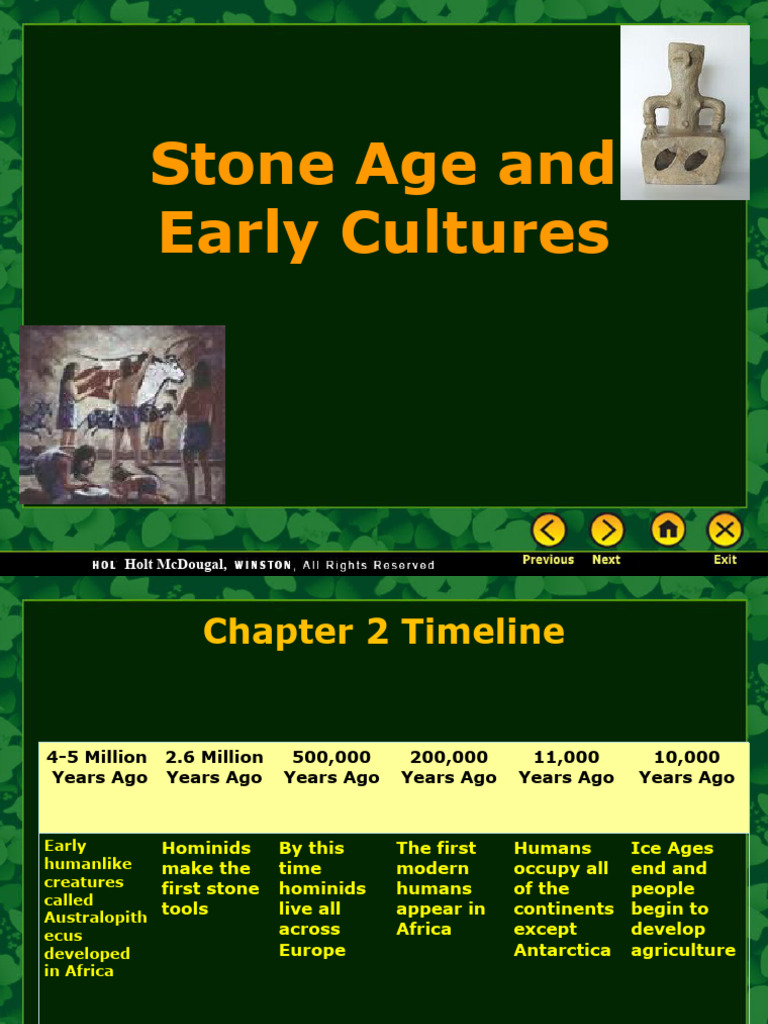 Stone Age and Early Cultures | PDF | Homo | Stone Age