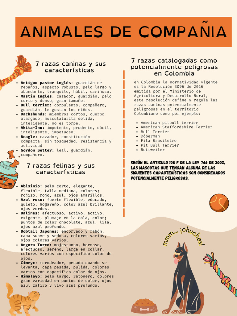 POSTER | PDF | Perros como mascotas | Perros