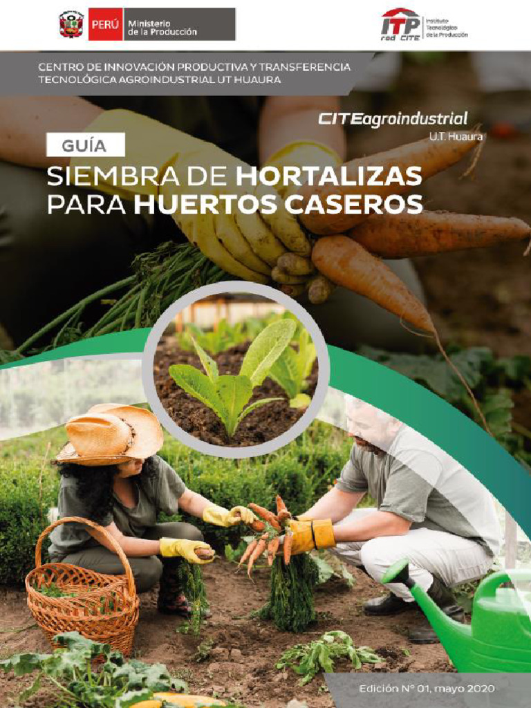 GUIA DE SIEMBRA DE HORTALIZAS PARA HUERTOS CASEROS | PDF