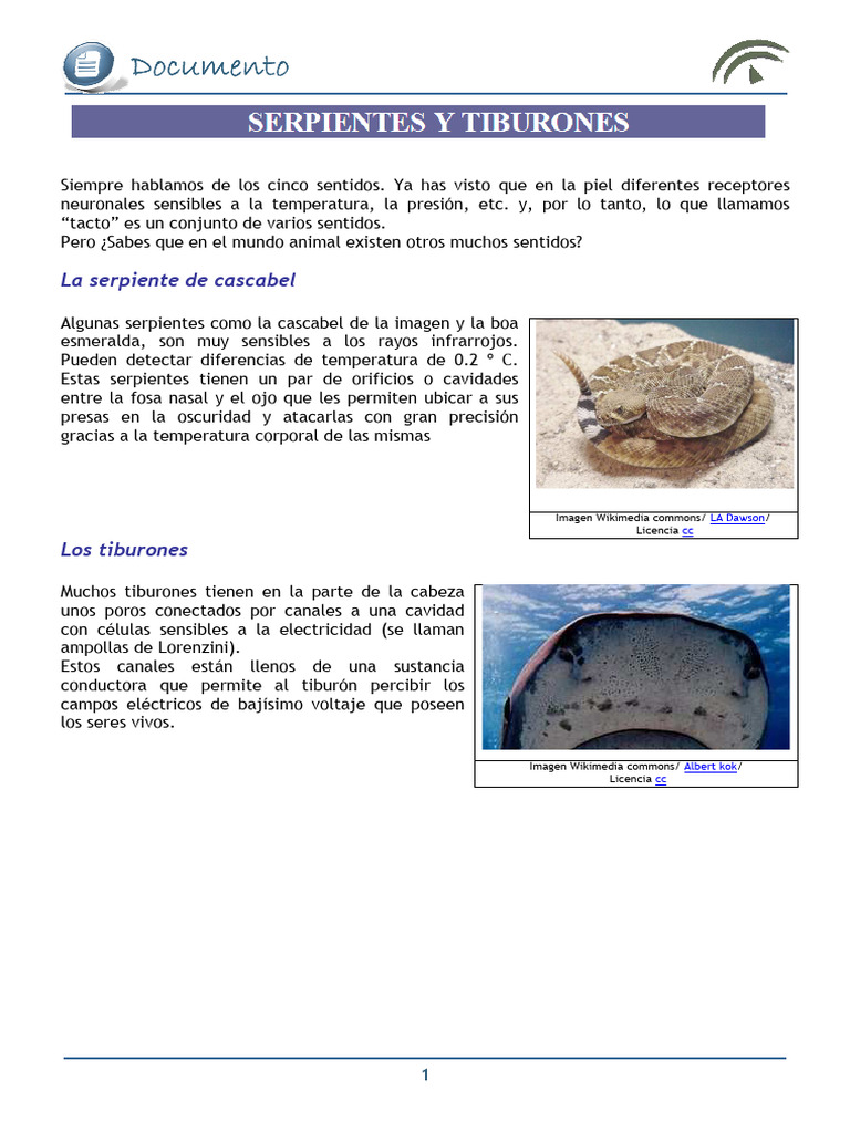 Sentidos Inusuales en Animales | PDF