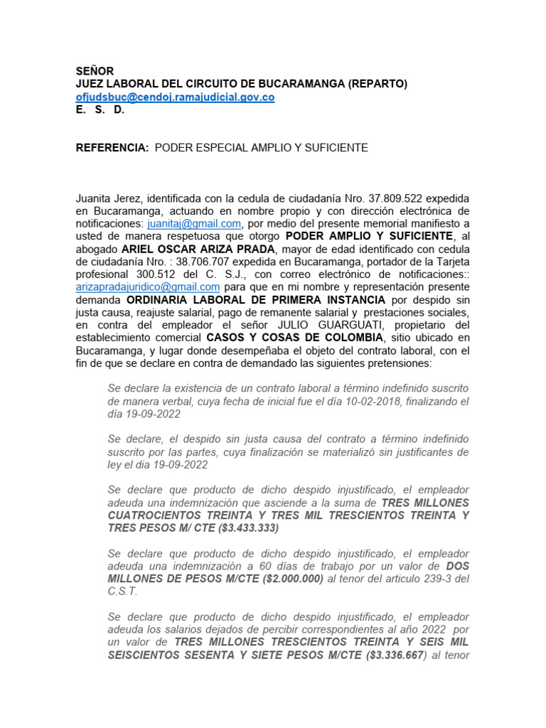 Poder Amplio y Suficiente | PDF