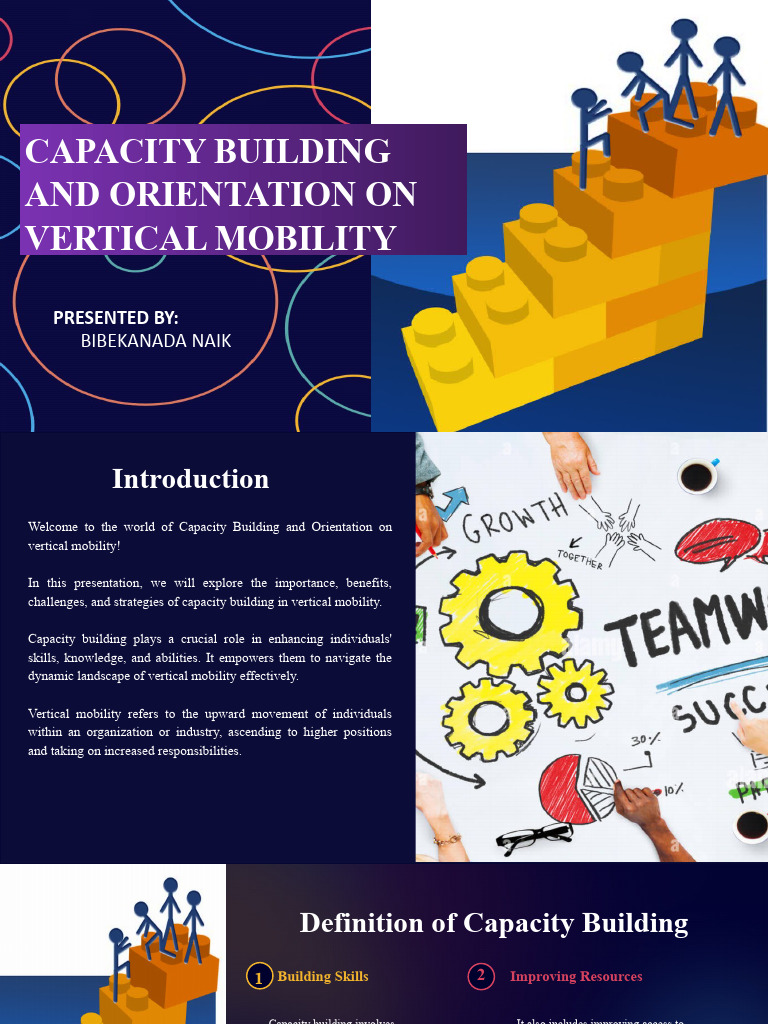 Vertical Mobility for Professionals | PDF | Social Mobility | Mentorship