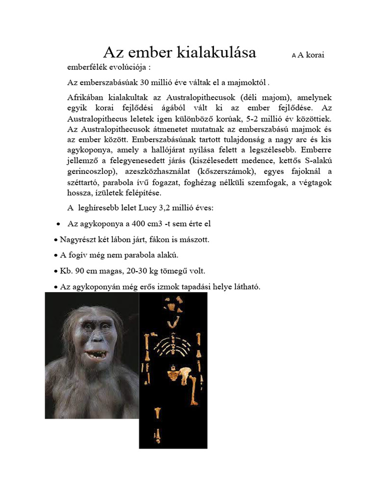 Az Ember Kialakulása a a Korai Emberfélék Evolúciója | PDF