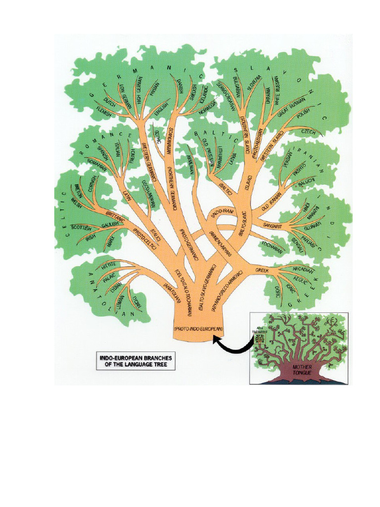 Language Tree Pdf