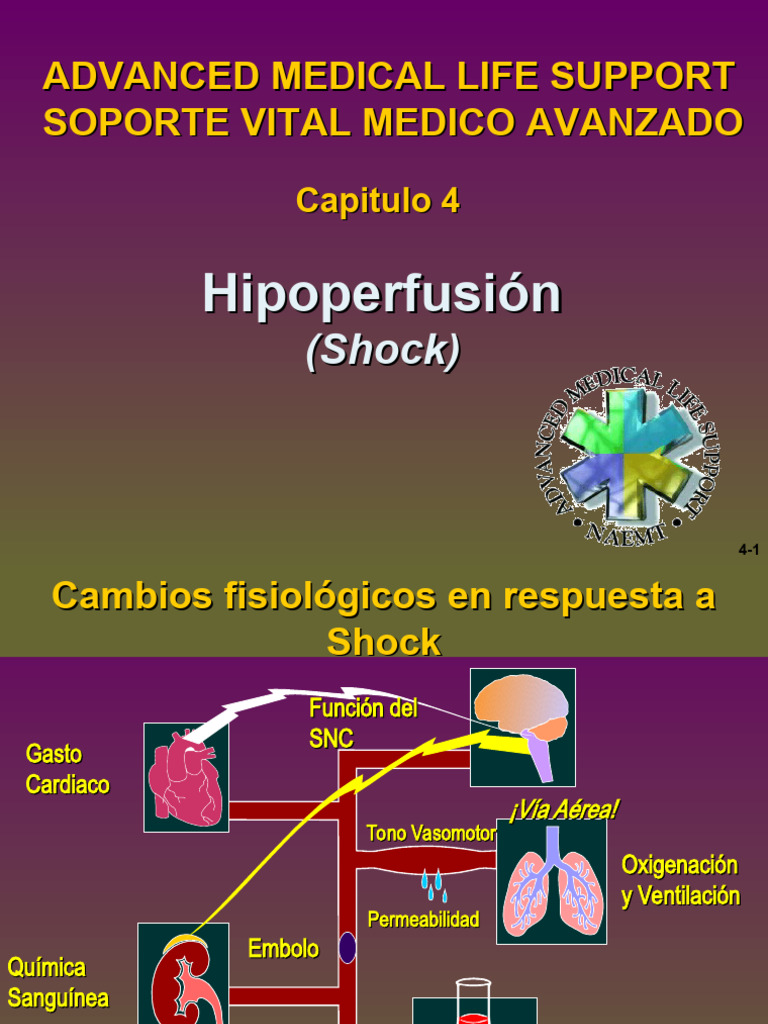 04 Hipoperfusion | PDF