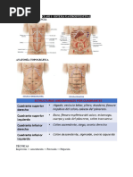 Maniobra de Mathieu en Exploración Abdominal | PDF | Abdomen | Bazo