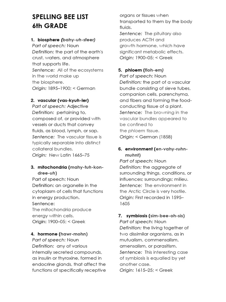 6th Grade List | PDF