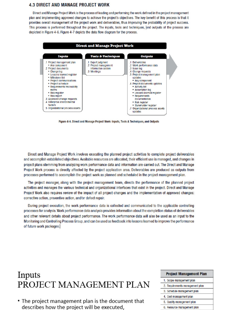 1 Direct and Manage Project Work | PDF