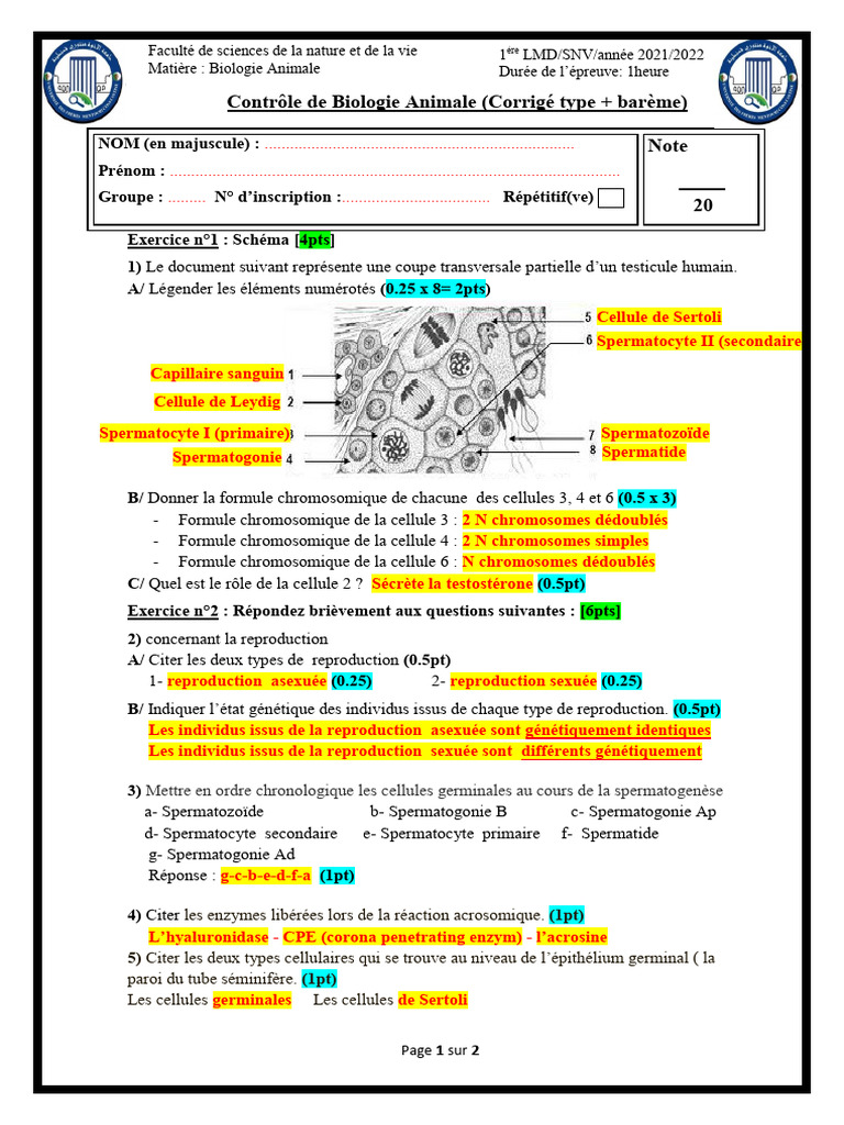 Corrigé Type Et Barème de L'examen de B.A - Dr. ZOUAGHI Youcef UFMC1 ...