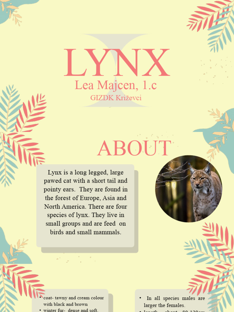 Lynx | PDF