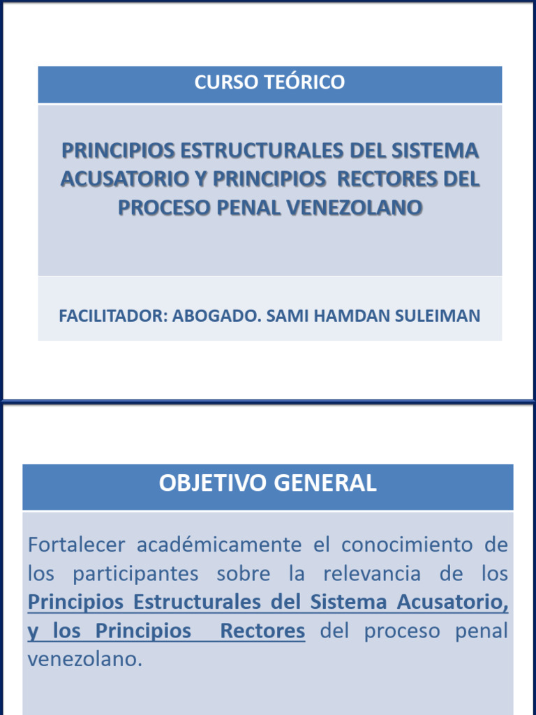 Principios Estructurales Del Sistema Acusatorio y Principios Rectores ...